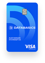 Visa Commercial Card Integration | DATABASICS | DATABASICS
